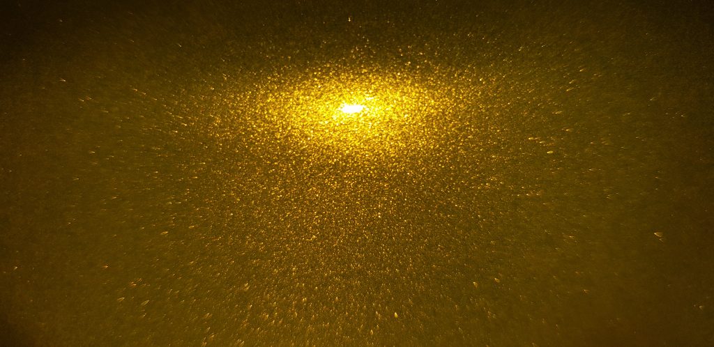 CANDY BUMBLE BEE YELLOW - CCR Custom Paints